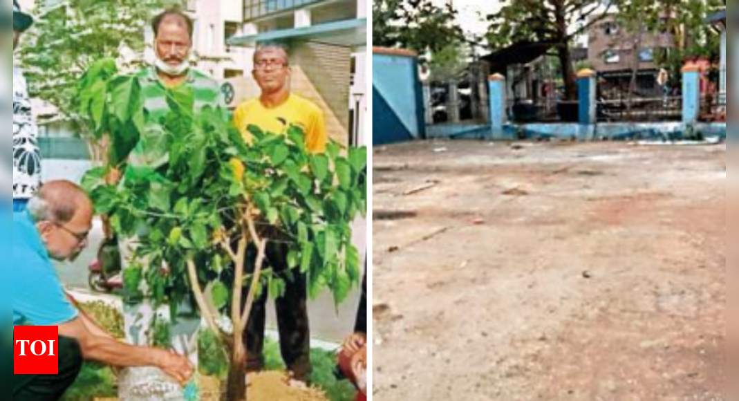 Green verge to come up on plot marked for development project | Kolkata ...
