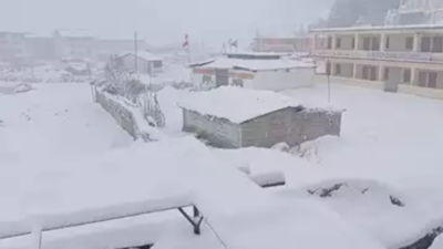 Heavy snowfall in higher reaches of Uttarakhand on March 31, predicts ...