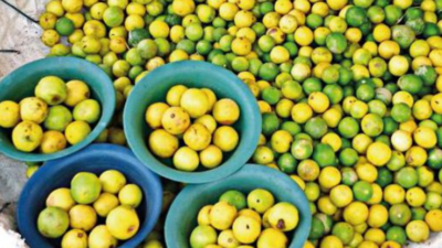 Lemons Get Costlier, Add To Summer Woes | Bengaluru News - Times of India