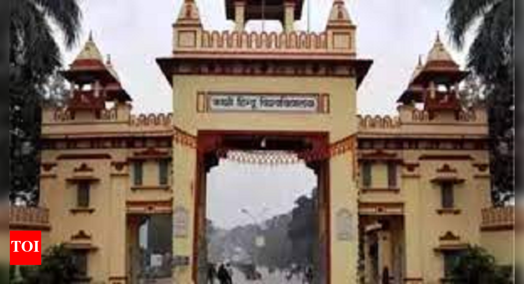 Bhu: Crops Irrigated With Wastewater Threat To Human Health: Bhu Study ...