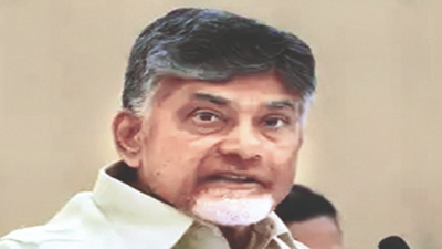 TDP marks Foundation Day, N Chandrababu Naidu says party's victory a historical need | Amaravati ...