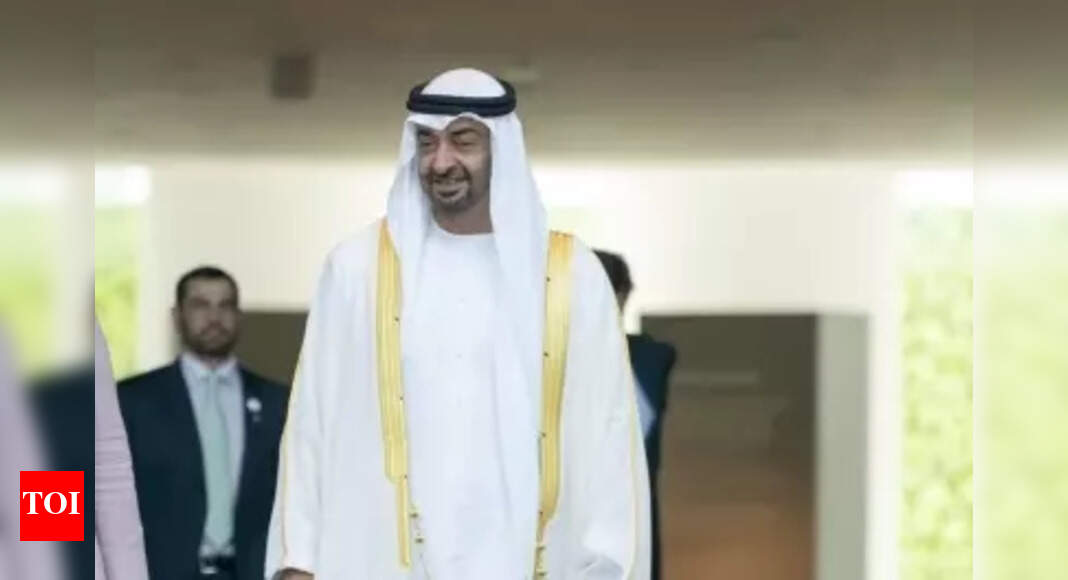 UAE president names son Abu Dhabi crown prince, brothers to top roles ...