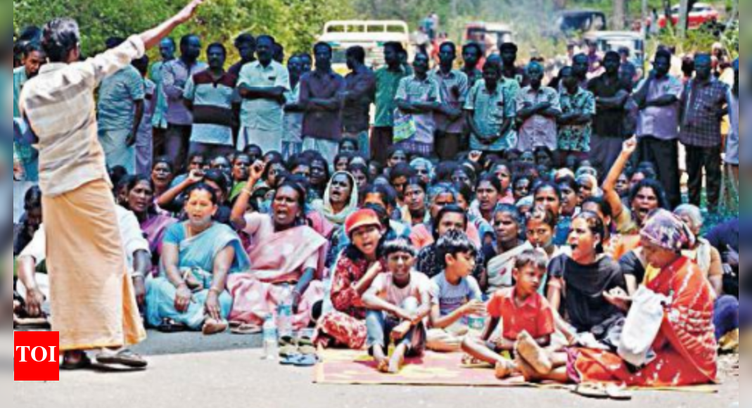 Elephant attacks: Residents plan indefinite protest at Chinnakanal ...