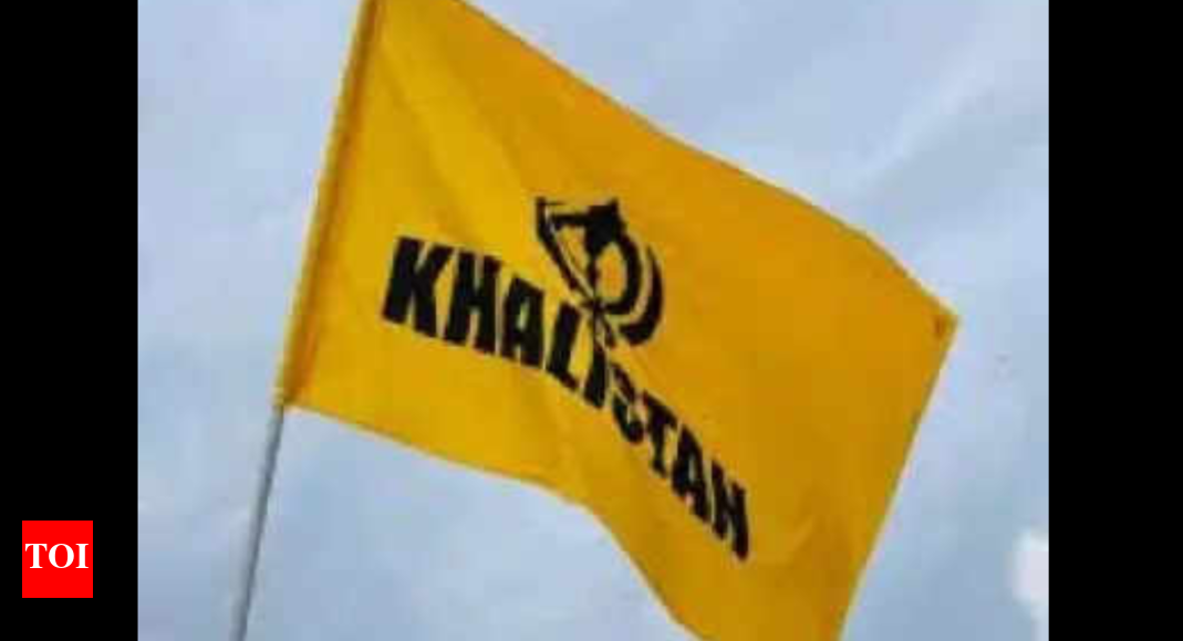Rohtak: Khalistan Flag Burnt In Rohtak | Chandigarh News - Times of India