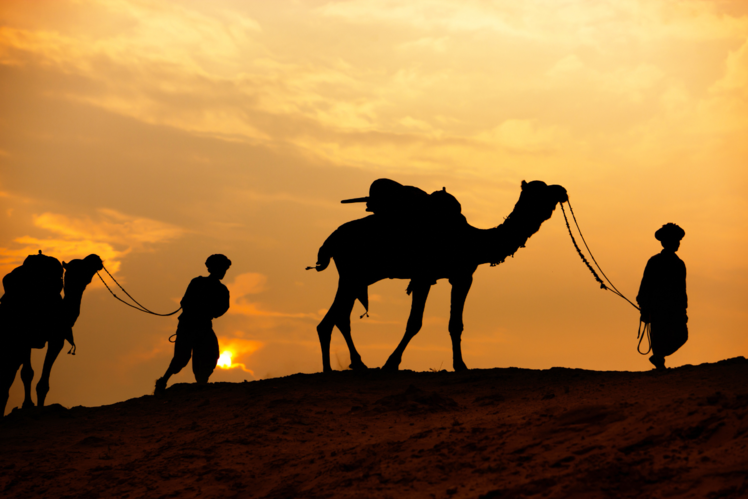 Beautiful destinations in India to enjoy desert safaris | Times of ...