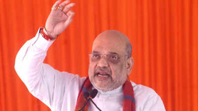 Amit Shah launches multiple projects | Ahmedabad News - Times of India