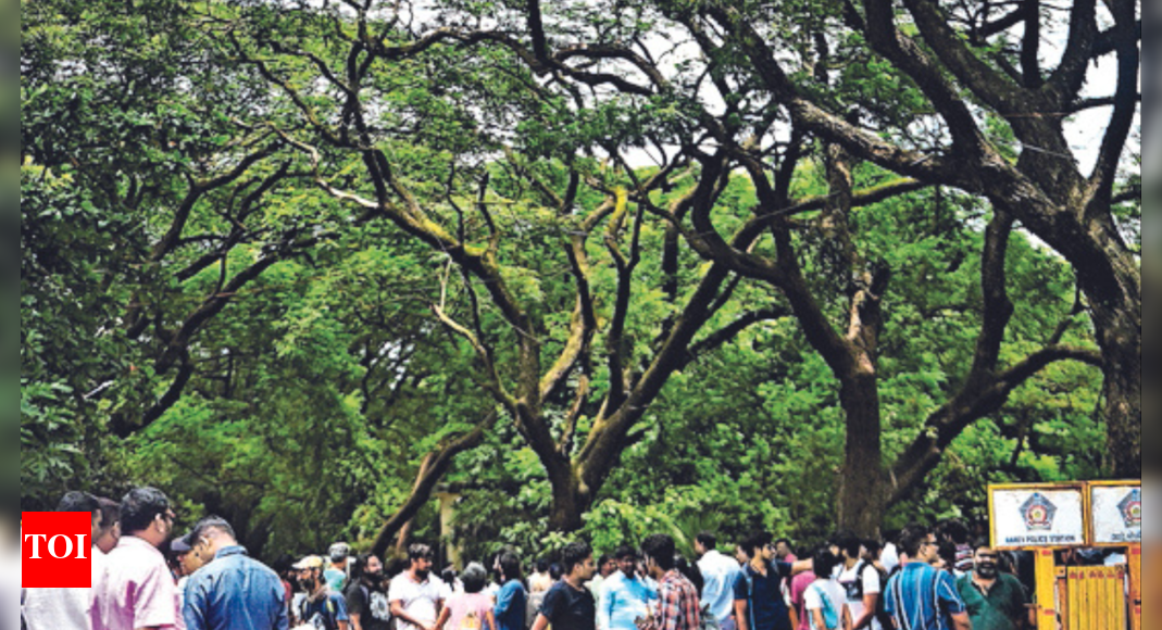 Bombay HC stay on permission to fell 177 Aarey trees for Metro | Mumbai ...