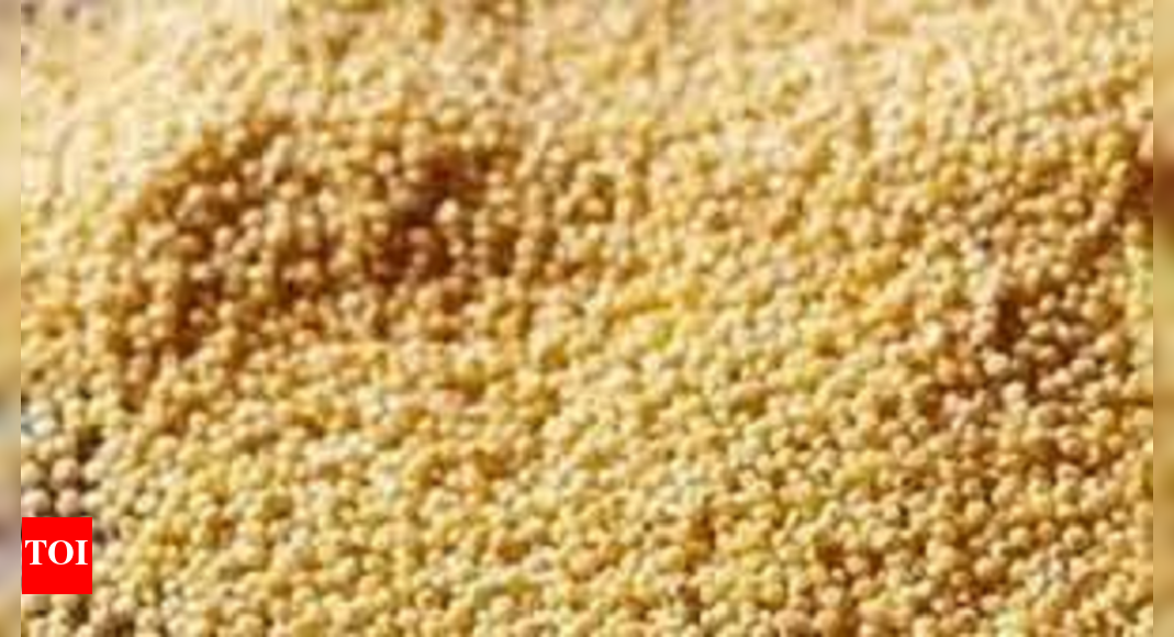 Joint Study To Be Carried Out On Millets | Chandigarh News - Times of India