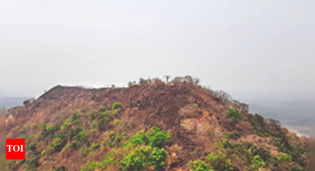 Khed: Ruins Of Forgotten Fort Discovered In Ratnagiri | Navi Mumbai ...