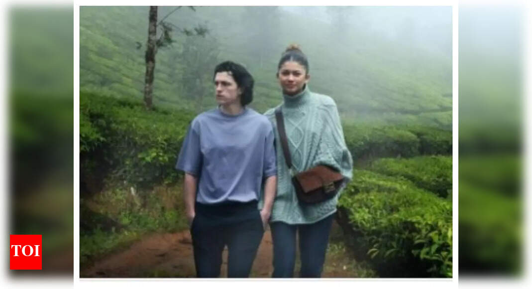 Tom Holland, Zendaya 'pictured' in Kerala's Munnar, fans call it 'April ...