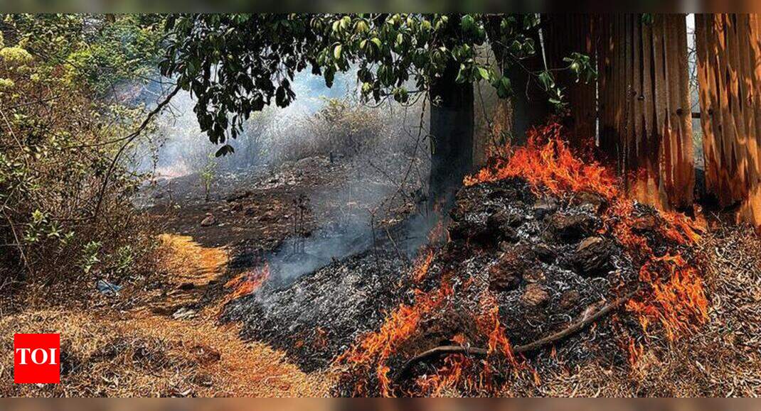 90 cases of forest fires, tree felling registered in 4 years | Goa News ...