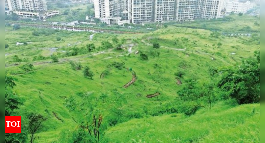 3-year effort pays off, Taloja Hill richer in flora & fauna | Navi ...
