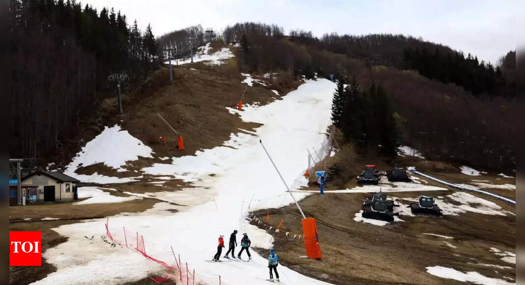 Italy Fires Cannon Against Climate Change: Italy's ski industry fires ...