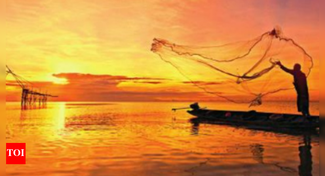 How small-scale fisheries are big contributor to jobs, diets | India News - Times of India