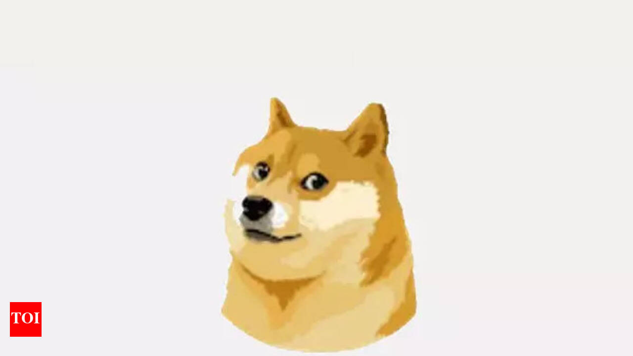 So Much Win Doge Meme