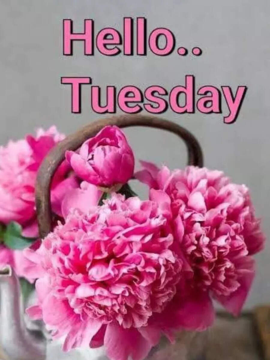 Happy Tuesday Morning Images With Flowers For WhatsApp | Times Now