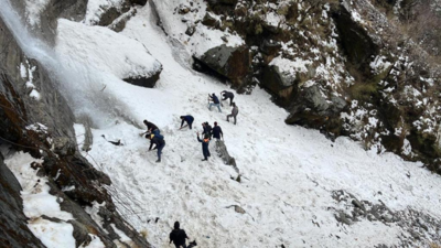 Sikkim avalanche: 7 tourists killed, several injured in Nathula area ...