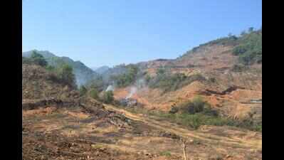 After Goa protest, Maha halts work on Virdi dam | Goa News - Times of India