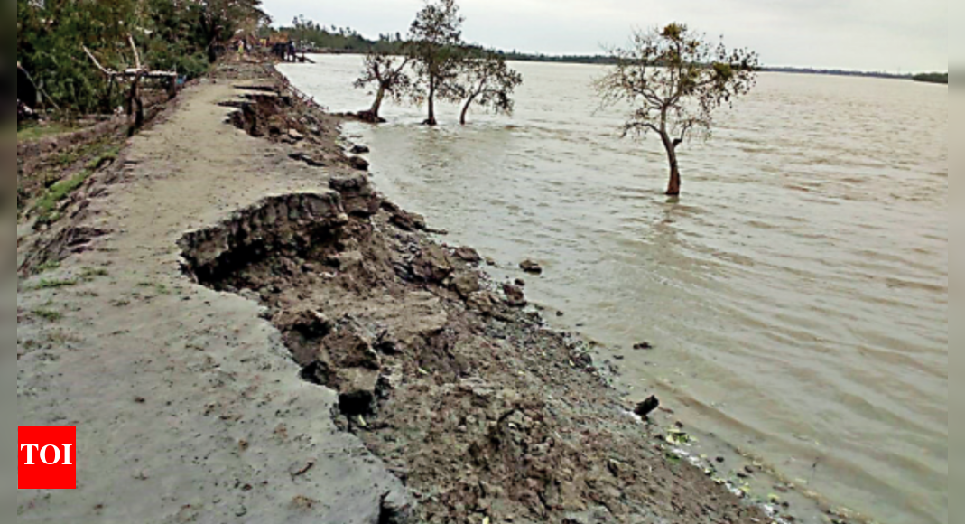 Dutch experts help strengthen Sundarbans embankments, West Bengal to ...