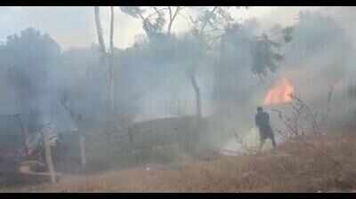Forest fires rage, forest dept looks on helplessly | Nagpur News ...