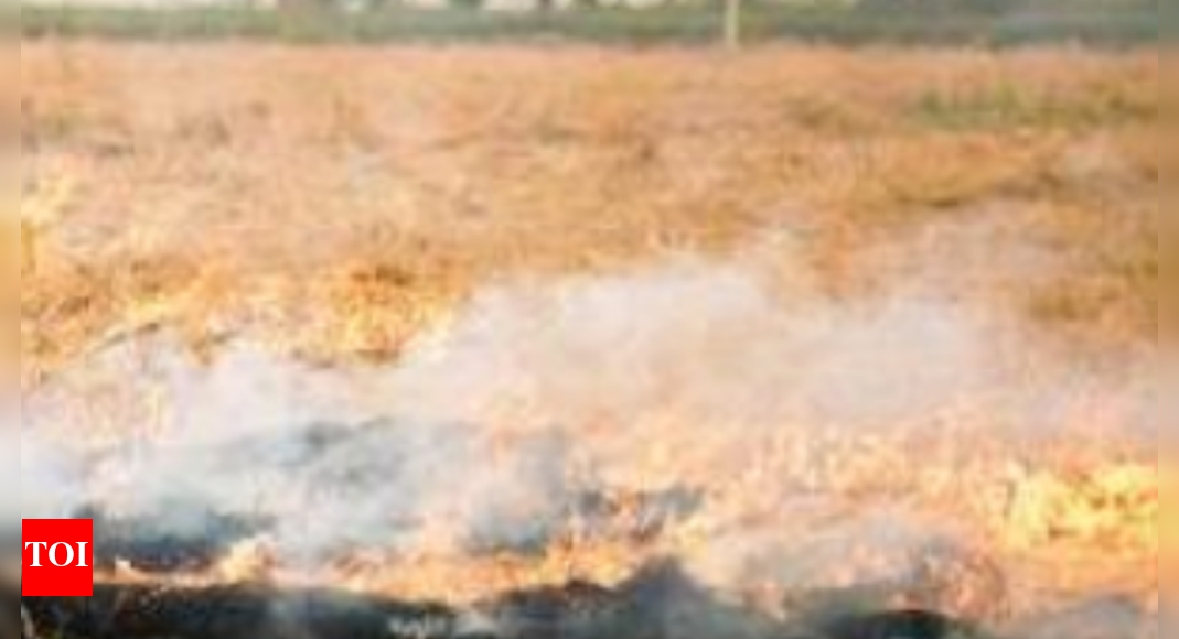 Pau: Pau Pitches For Mulching As Solution To Farm Fires | Chandigarh ...