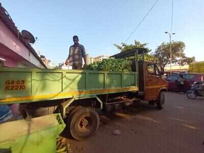 FDA seizes artificially ripened bananas | Goa News - Times of India