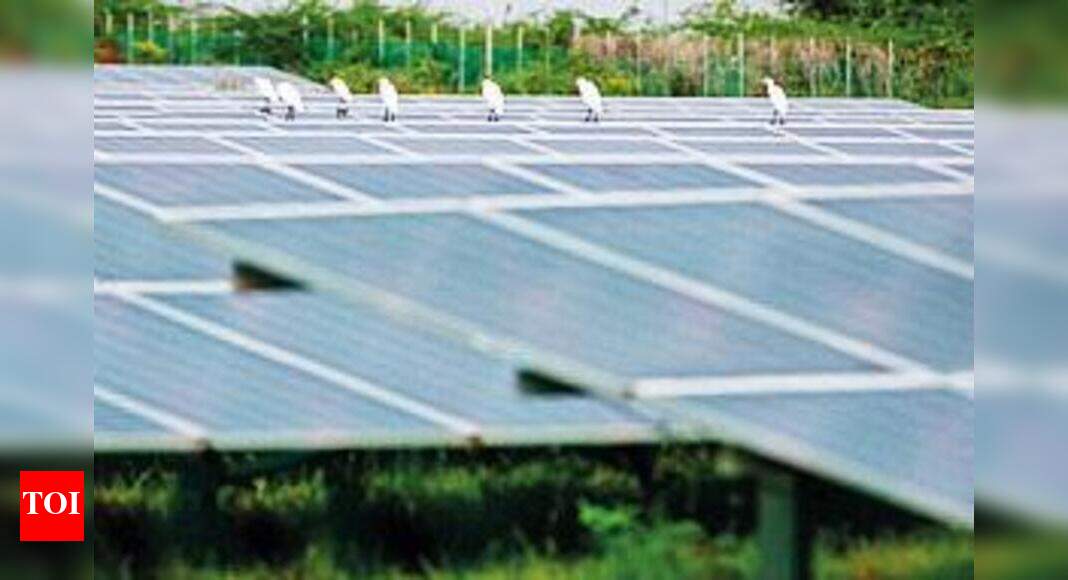 CIL to light up own solar power plant this fiscal | Nagpur News - Times ...