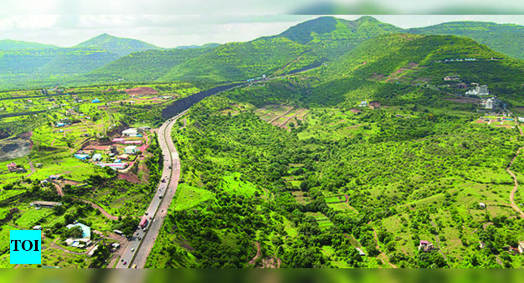 Development Projects In India: 89k hectares of forest land diverted for ...