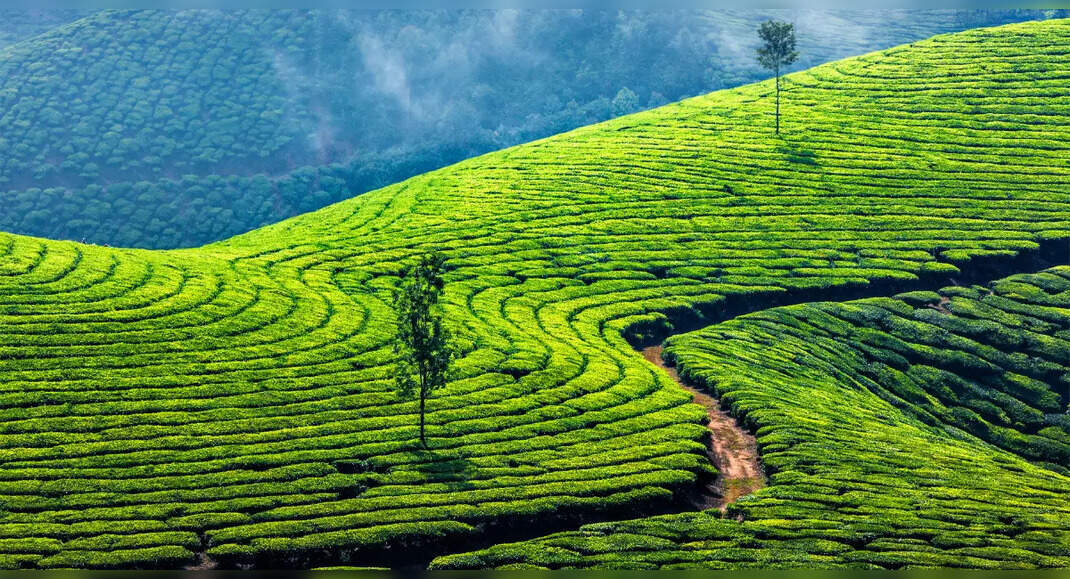 Western Ghats is your one-stop-shop for all your adventure travel needs ...