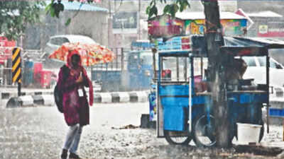 Edu Institutes Urged To Be Part Of Centre’s ‘catch The Rain’ Campaign ...