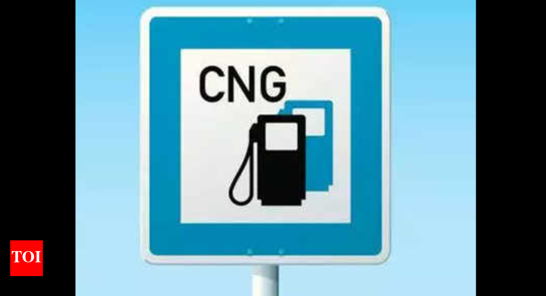 CNG's price drops by Rs 8/kg, piped cooking gas by Rs 5/unit in ...