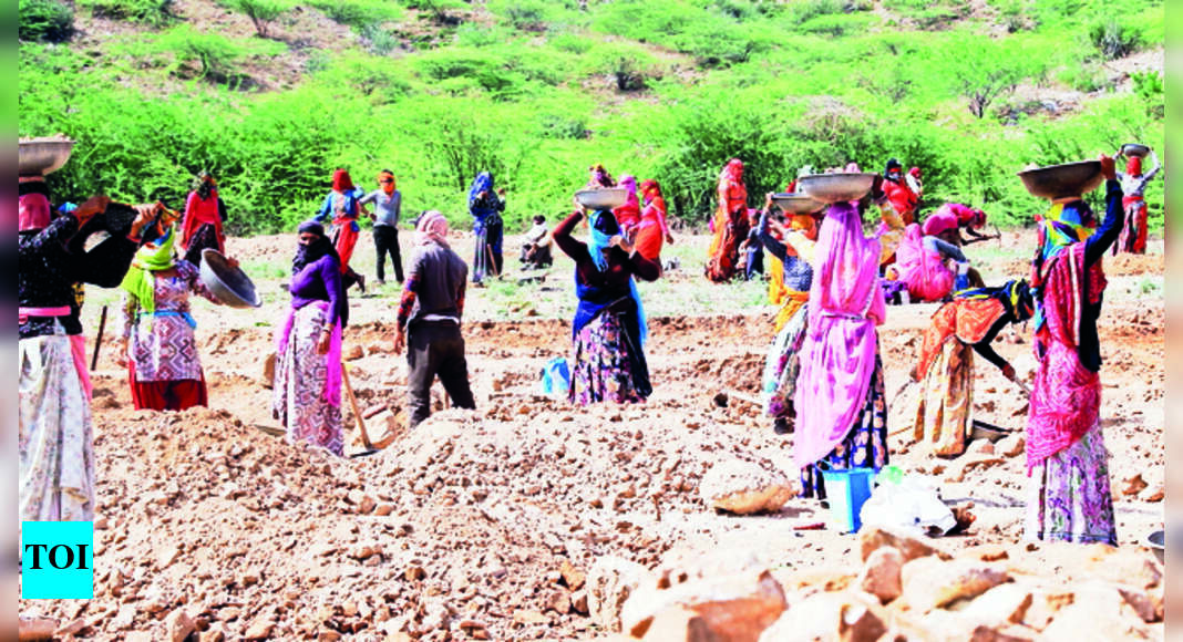 Nrega: Raj Tops In Persondays Generation For 4th Year In A Row | Jaipur ...