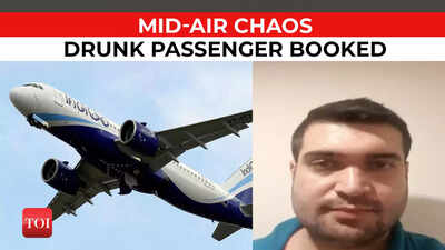 Drunk passenger onboard Delhi-Bengaluru flight booked - Times of India