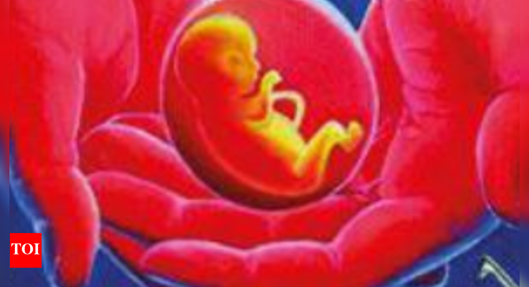 Bina: Officials Seize Human Foetus Specimen From School Lab | Bhopal ...