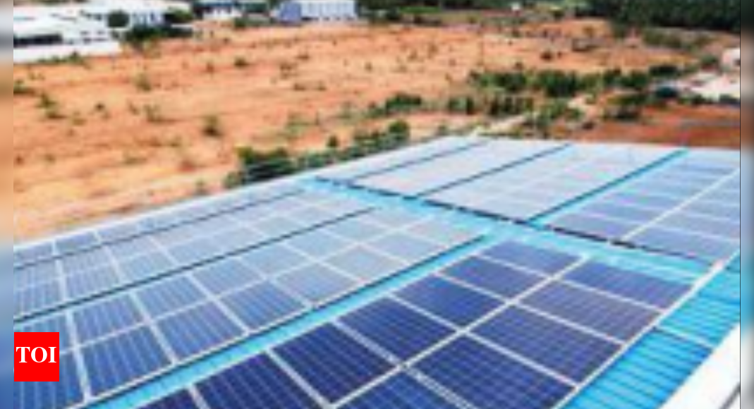 File affidavit on felling trees for solar plants in Bikaner: Rajasthan ...