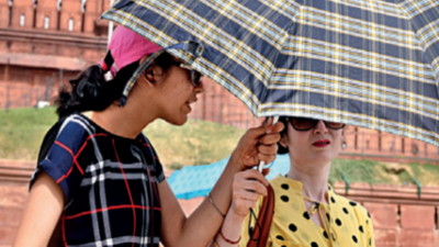 Delhi Temperature: Delhi records highest Temperature of the year ...