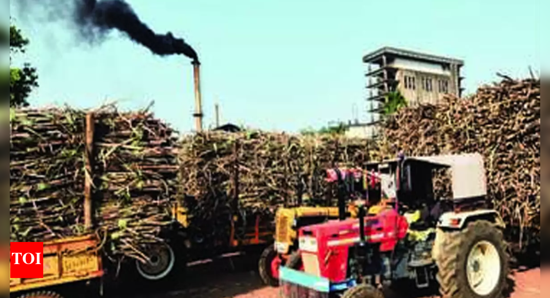 Bijnor to get a new sugar mill | Meerut News - Times of India