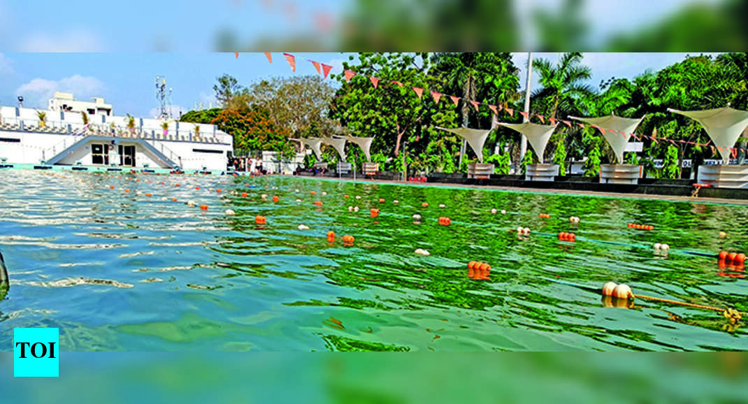 Poor Filtration System Takes Flak As Pool Turns Mosquito Breeding Spot ...