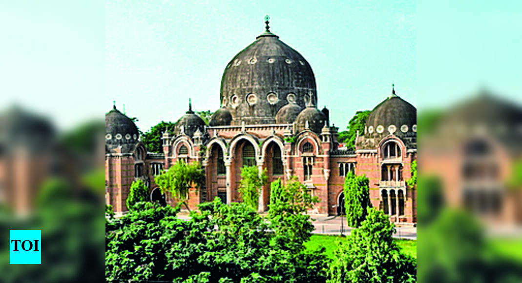 In Past 5 Years, Msu Has Verified 75 Fake Degrees | Vadodara News ...