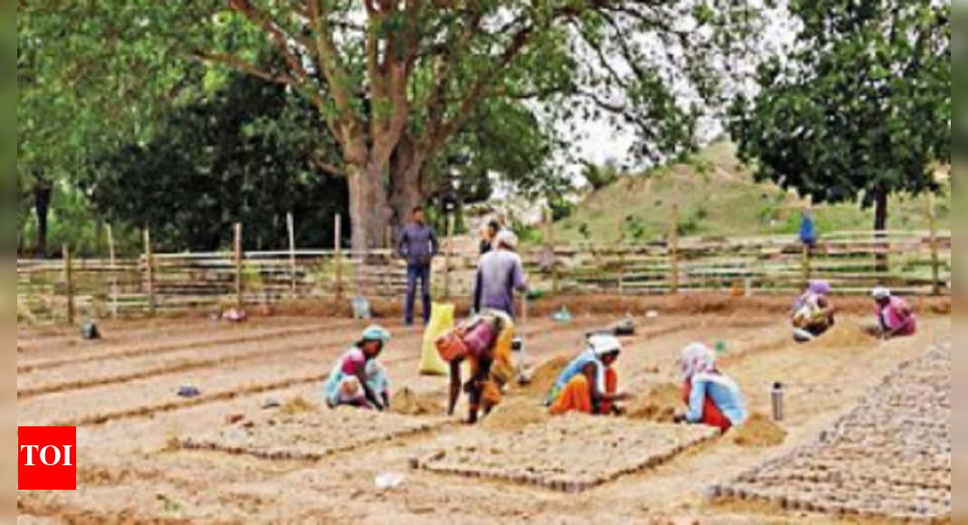 Jharkhand: Jharkhand tops in desertification, land erosion in country ...