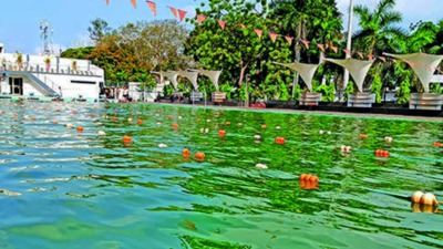 Poor filtration system takes flak as pool turns mosquito breeding spot ...