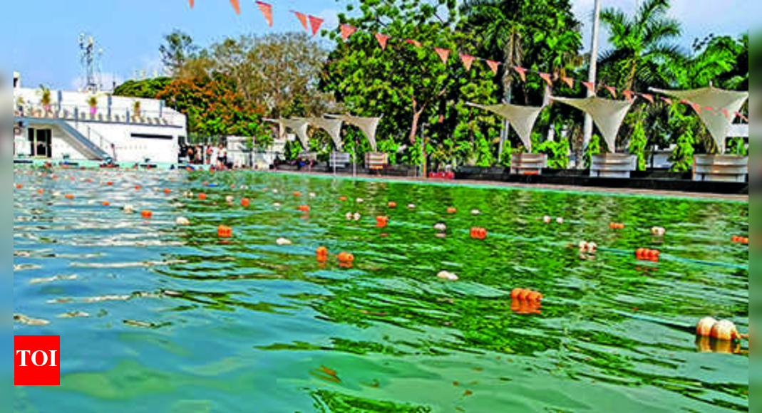 Poor filtration system takes flak as pool turns mosquito breeding spot ...