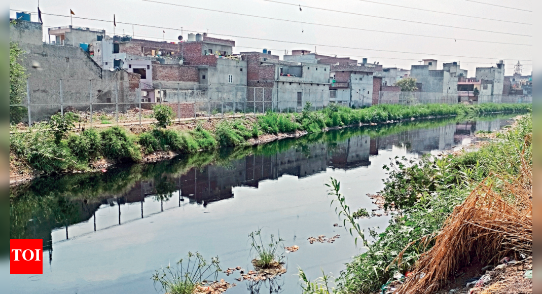 Nullah: Buddha nullah or gas chamber? | Ludhiana News - Times of India