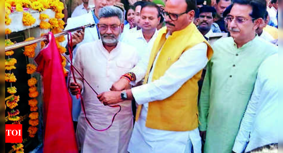 Pathak: Brijesh Pathak: Not a single broker will be allowed on medical ...