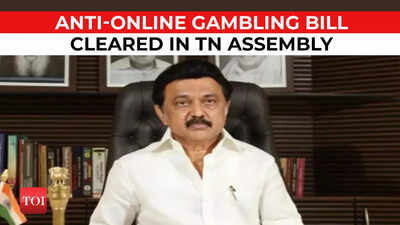 R N Ravi: Tamil Nadu governor gives assent to anti-online gambling bill ...