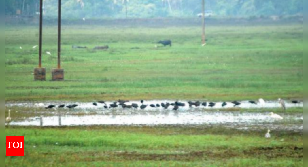 Five lakes in South Goa, another in North contaminated with sewage ...