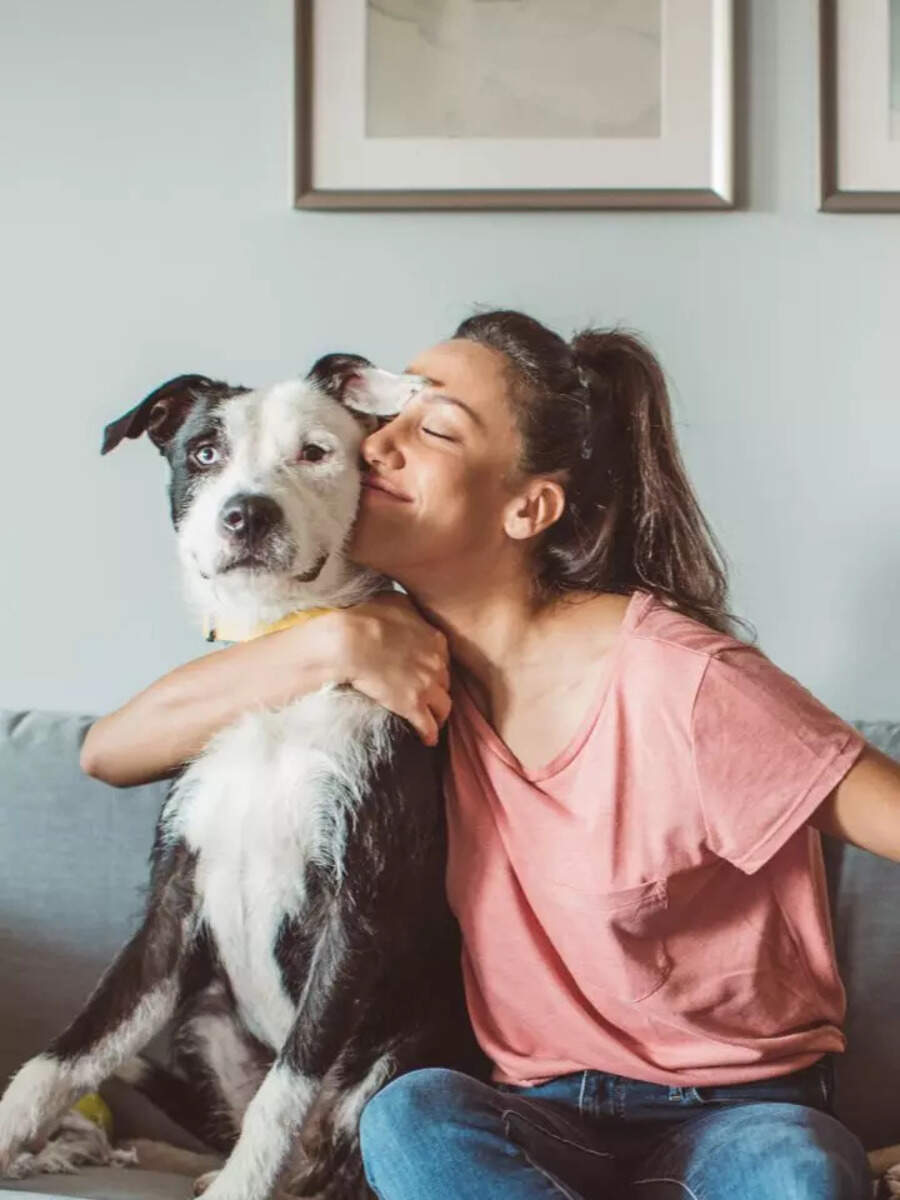 National Pet Day 2023: 7 novels where pets play an important role ...