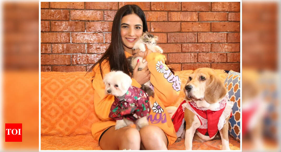 #National Pet Day! Jasmin Bhasin who has two dogs and a cat says, 'I ...