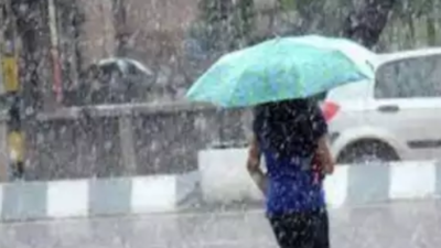 Normal or below normal rainfall expected in Bihar this year: IMD ...