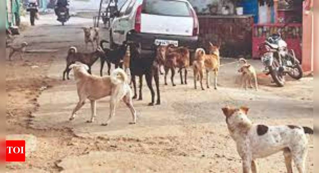 Bangalore Crime News: Bengalurean beaten to death in fight over dog ...